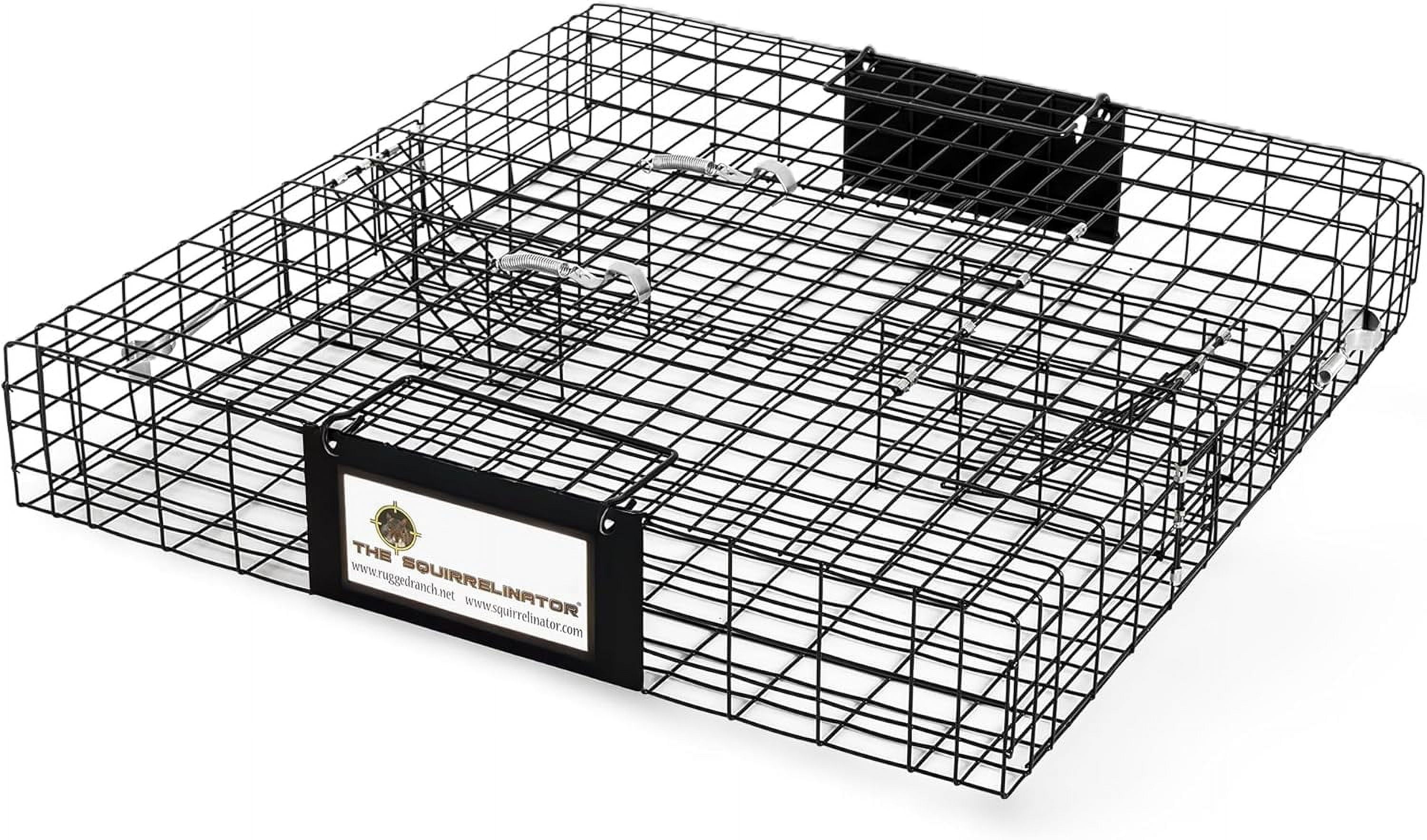 Tumis Squirrel Trap, Live Animal Catch & Release Cage, Squirrelinator - Walmart.com