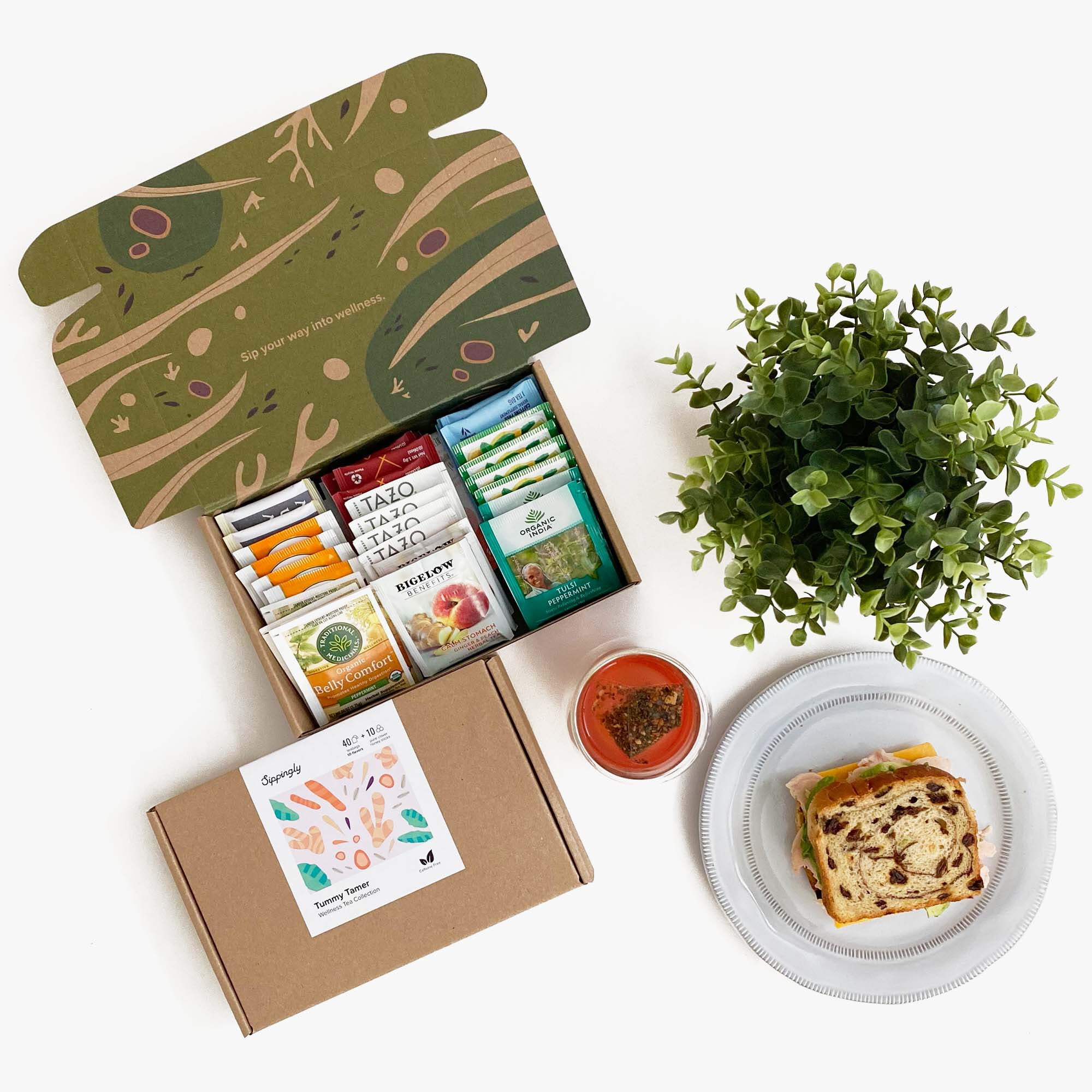 Tummy Tamer Peppermint Ginger Turmeric Tea Discovery Box - Walmart.com