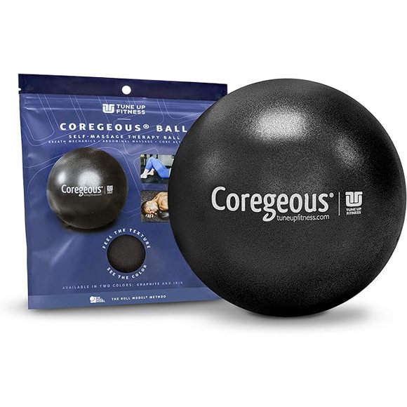 Therapy Balls Back Pain
