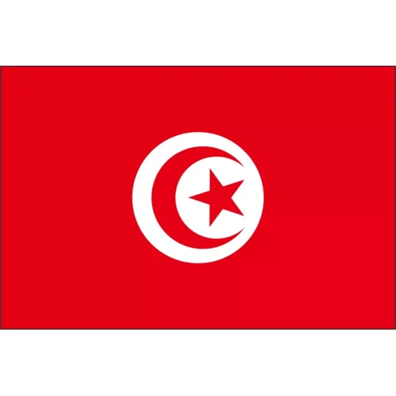 Tunisia Flag Sticker Phone Decal Water Bottle Stickers Car Decals ...
