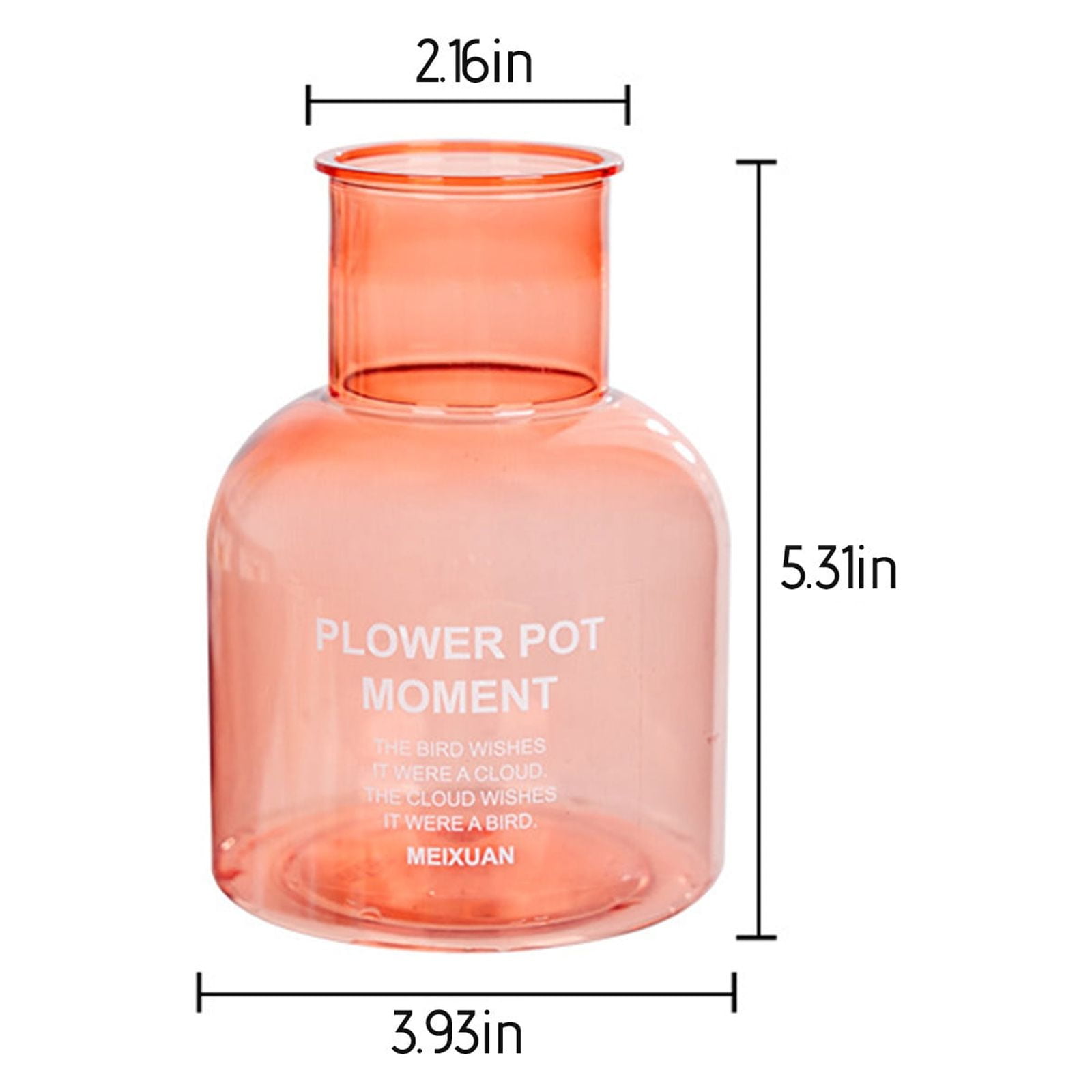 Tuphregyow Transparent Hydroponic Small Potted Plant Pots Indoor Living ...