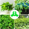 Tuplbcv Pack Of 40 Plant Benders Plant Trainer For Low Load Plant ...