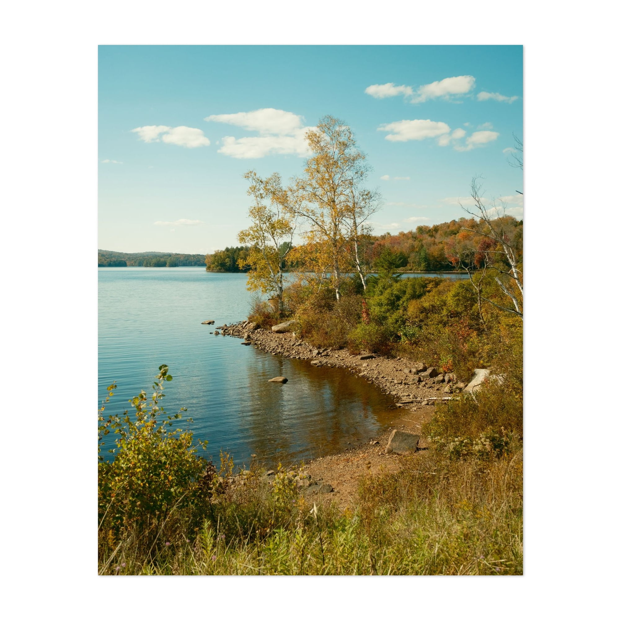 Tupper Lake Shoreline - New York Photography Unframed Wall Art Print 8 ...
