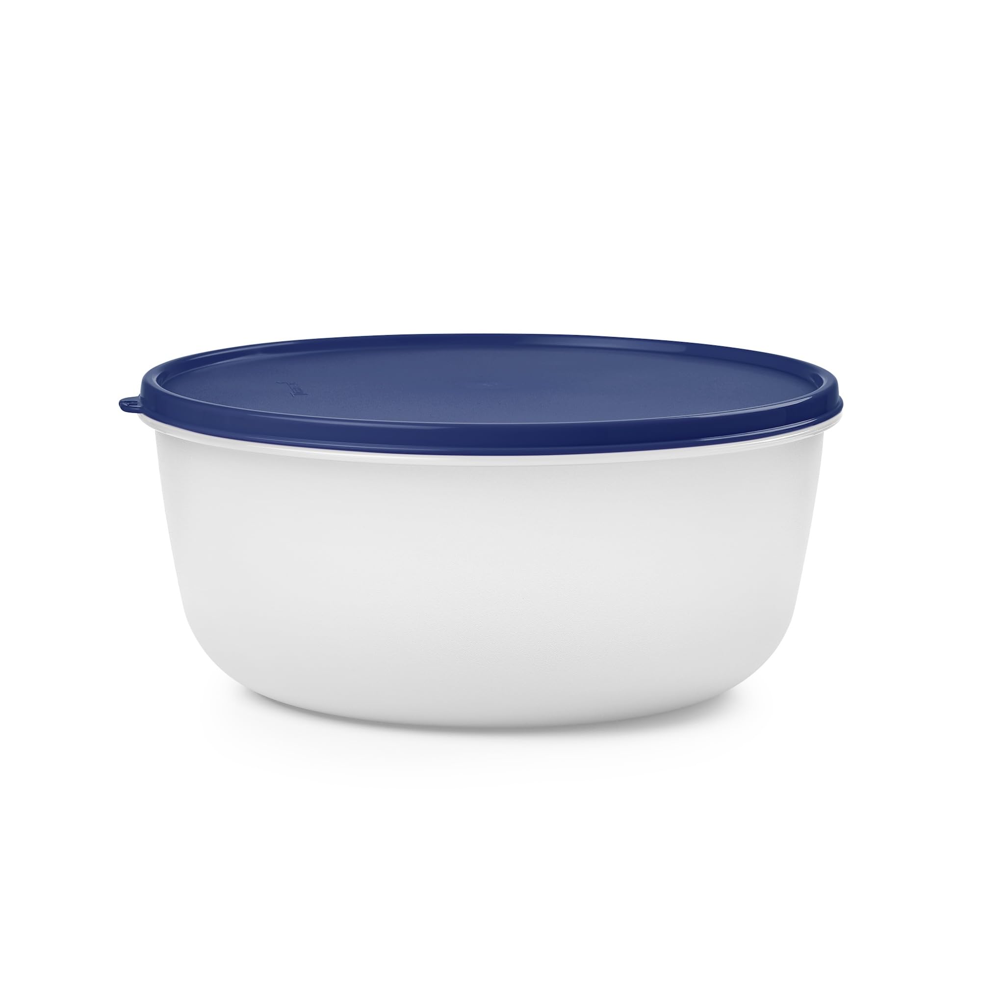 Tupperware Modular Bowl, Large 1.05 Gallon Food Storage Bowl ...