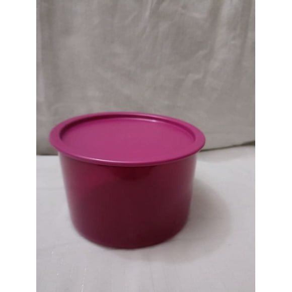 Tupperware Shop All Food Storage Containers - Walmart.com