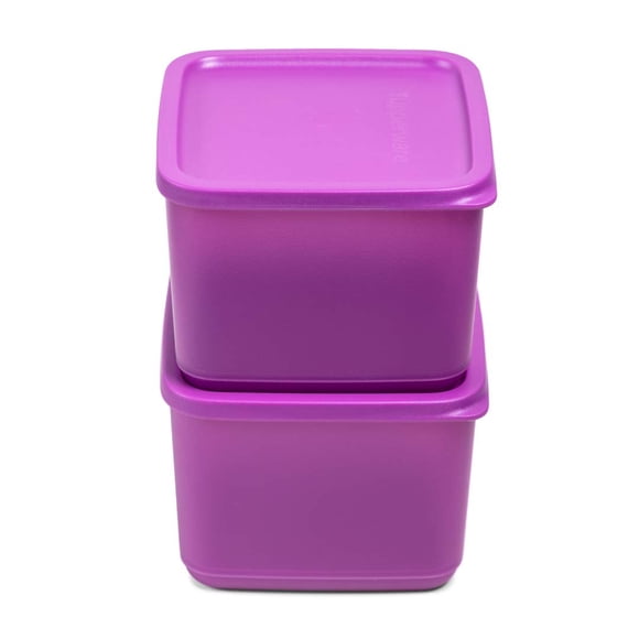Tupperware Shop All Food Storage Containers - Walmart.com
