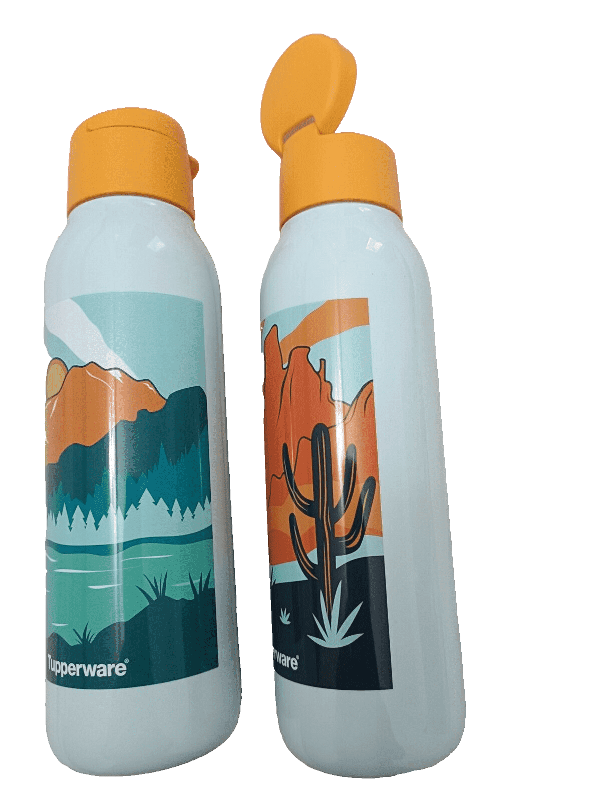 Tupperware Set of 2 Cool n Chic Printed Fliptop Water Bottles With Box ...