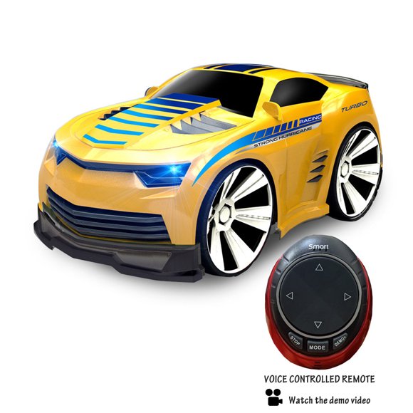 Voice Activated Toy Car