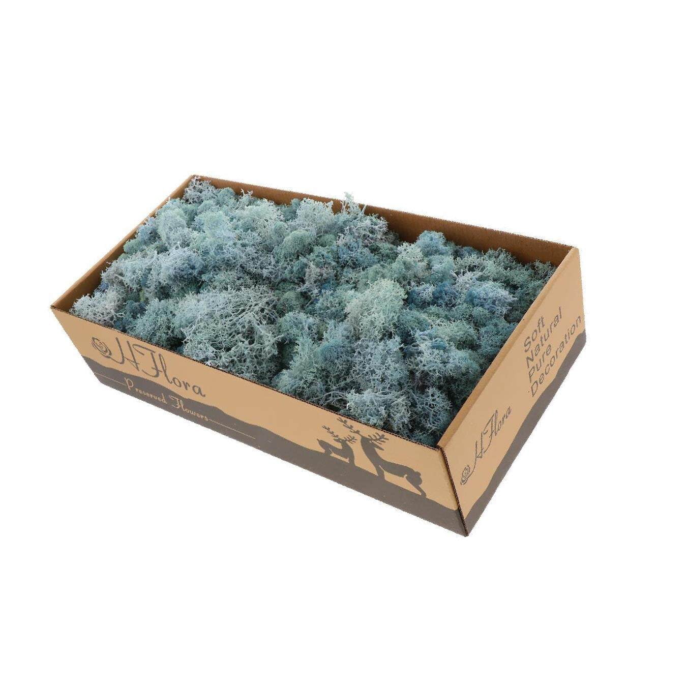 TureClos Natural Dried Reindeer Moss Treated Immortal moss Crafts DIY ...