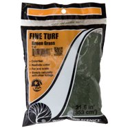 Zoysia Plugs - 200 Full Zoysia Grass Plugs for Landscaping, Gardening ...