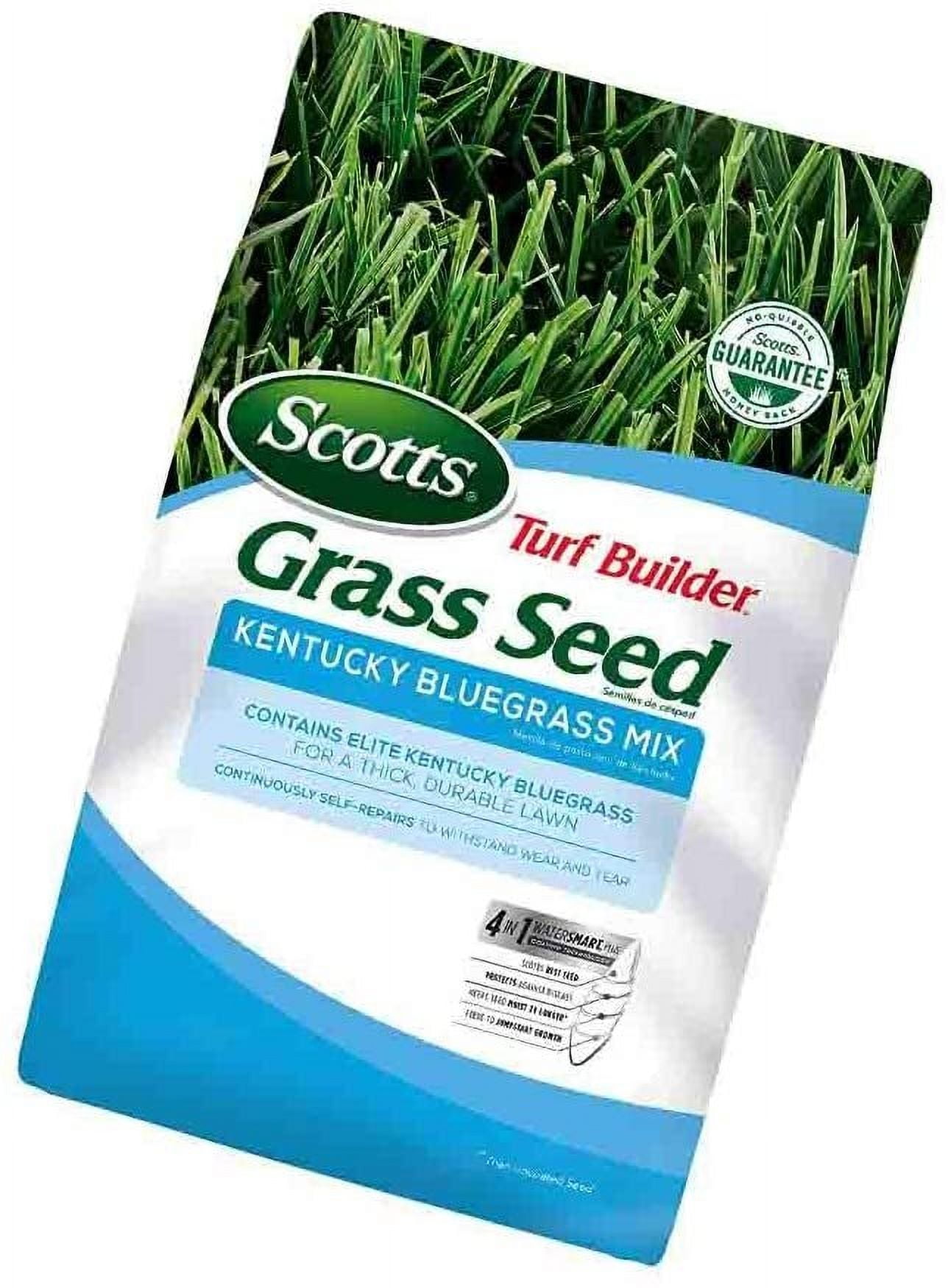 Scotts Turf Builder Kentucky Bluegrass Grass Seed Mix - Drought ...