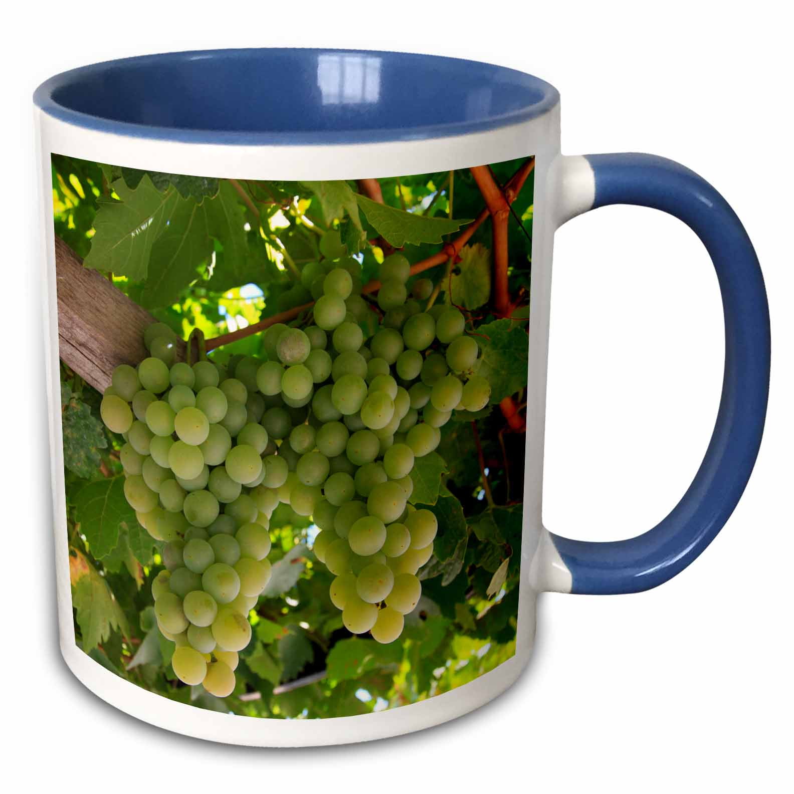 3drose, Turkey, Cappadocia, Uchisar, Grapes for the Making Uzum Pekmezi ...