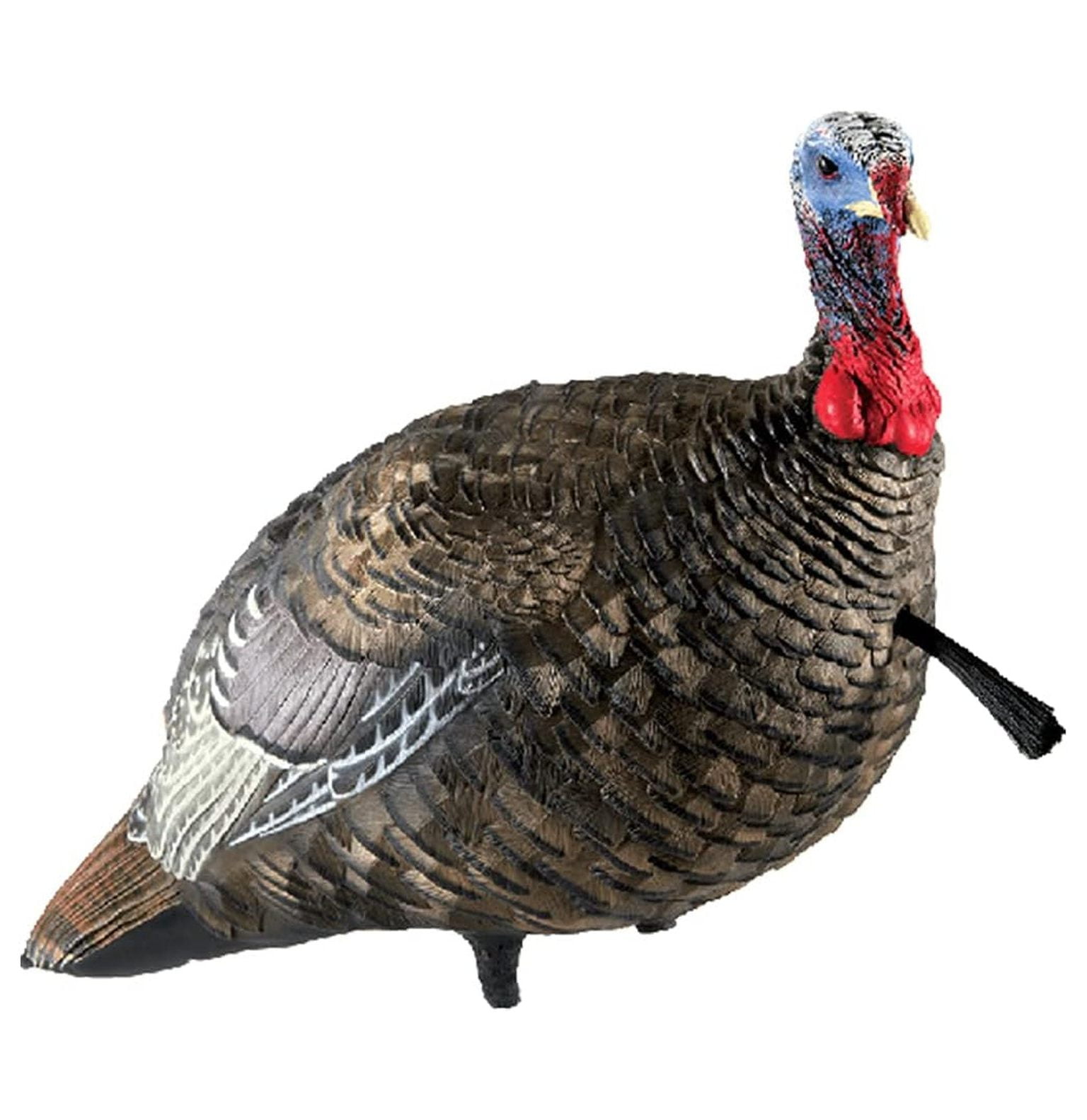 Turkey Decoy, LCD Jake Quarter Strut Realistic Collapsible Hunting ...