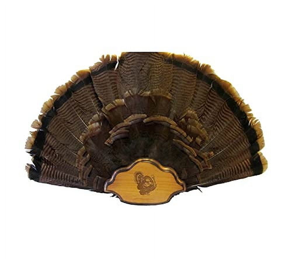 Turkey Fan Plaque-Engraved Hardwood - Walmart.com
