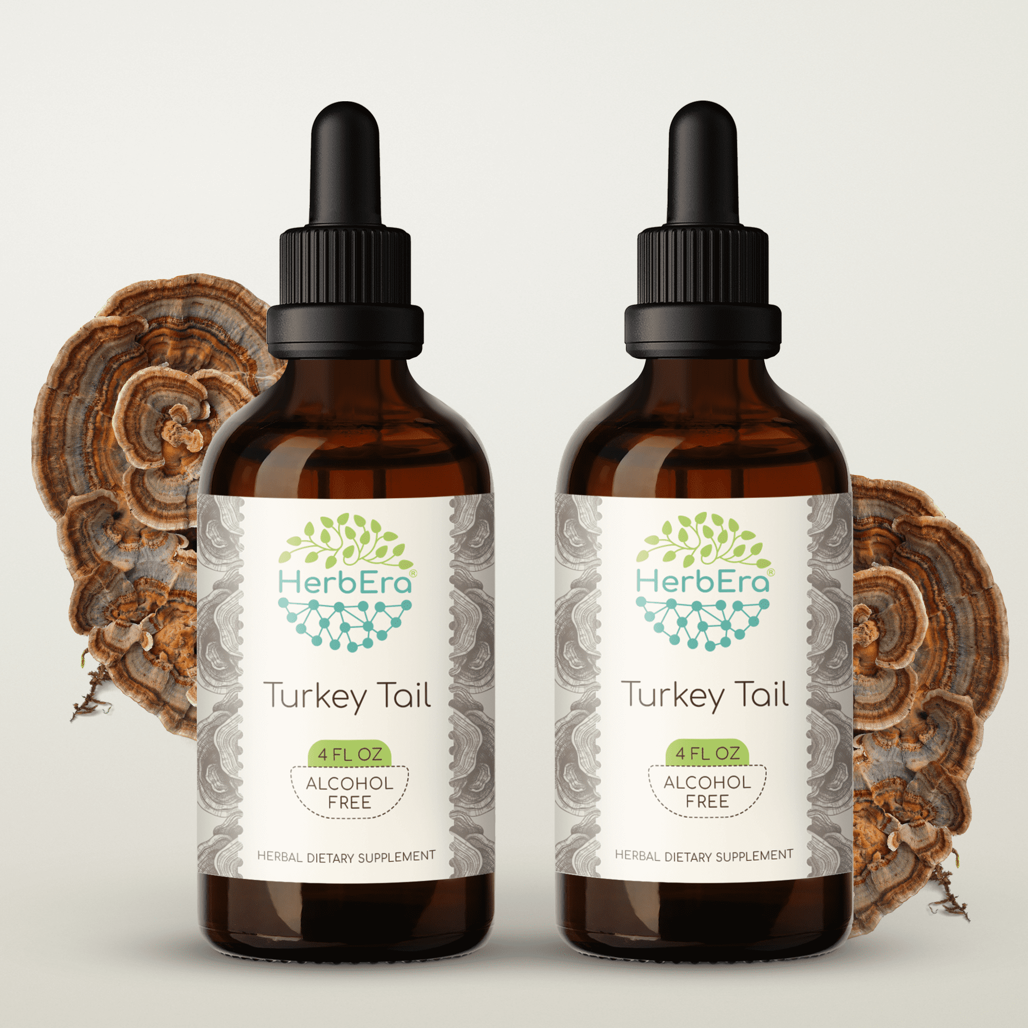 Turkey Tail Alcohol-FREE Herbal Extract Tincture, Super-Concentrated ...