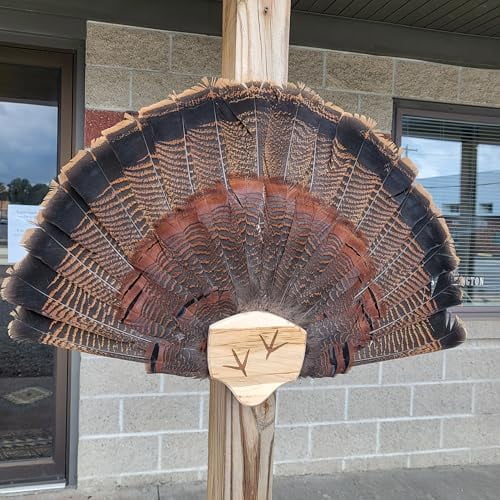 Turkey Fan Display