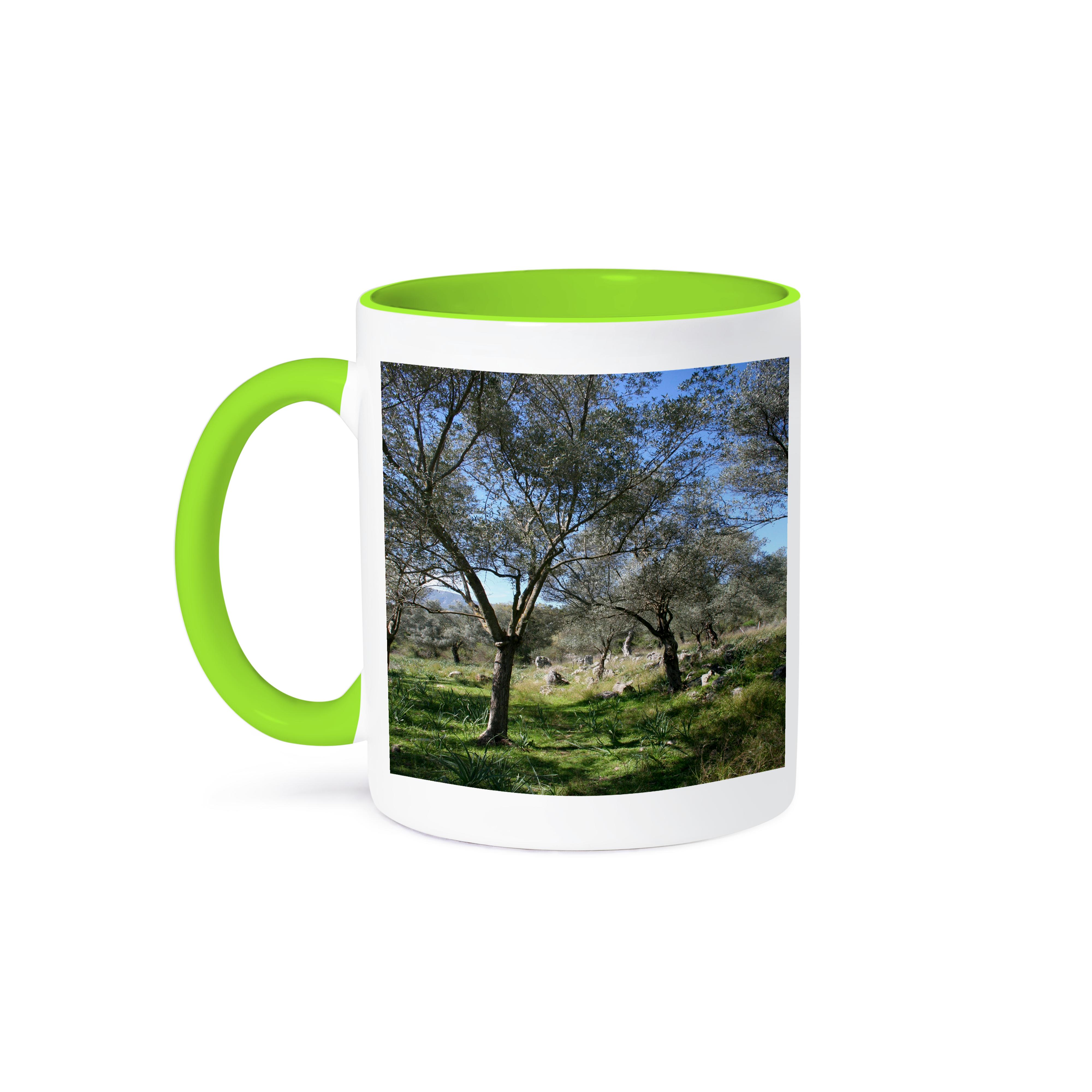 Turkish Olive Grove-Olive Olea Europaea, Small Tree In The Family ...