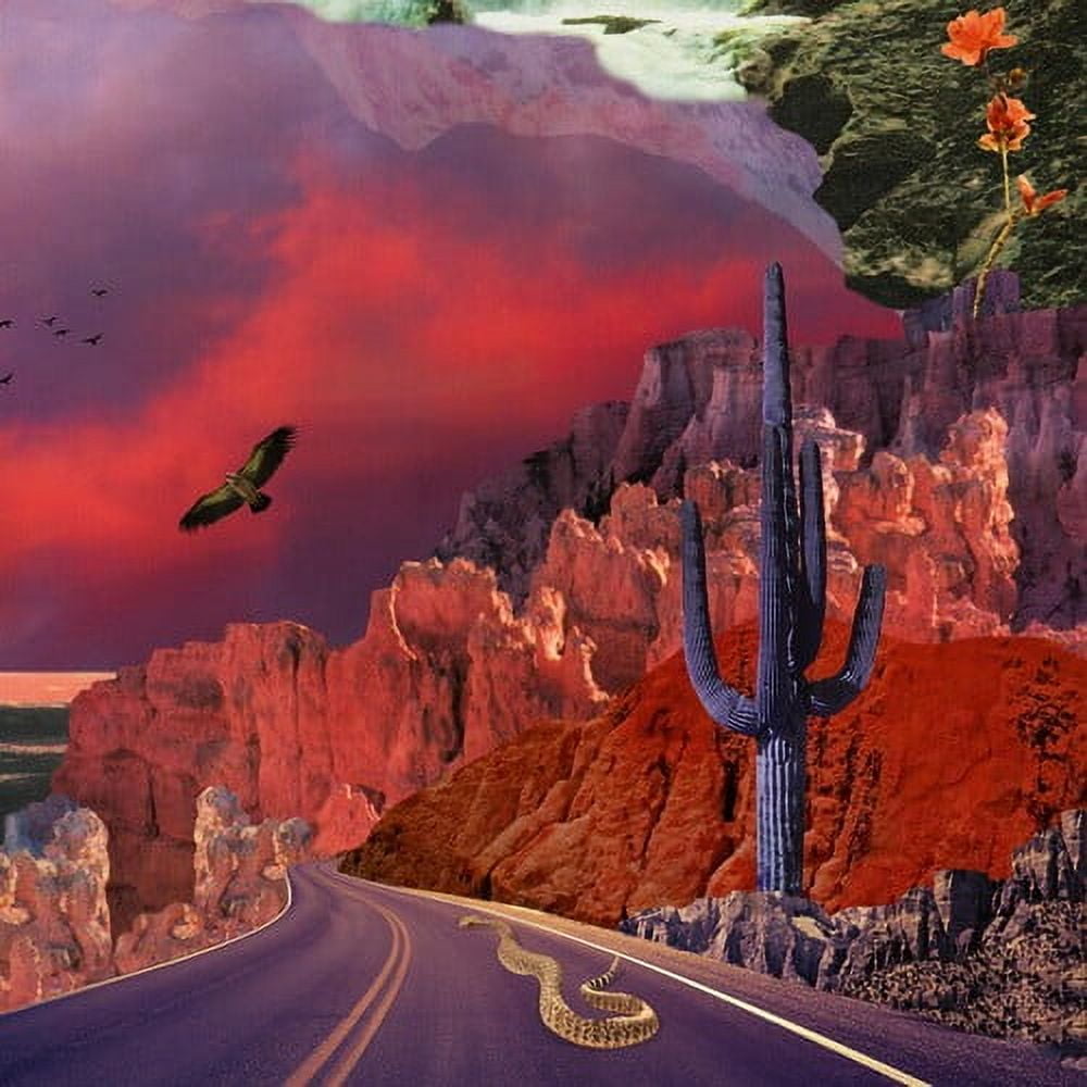 Turkuaz - Apollyon - Music & Performance - Vinyl - Walmart.com