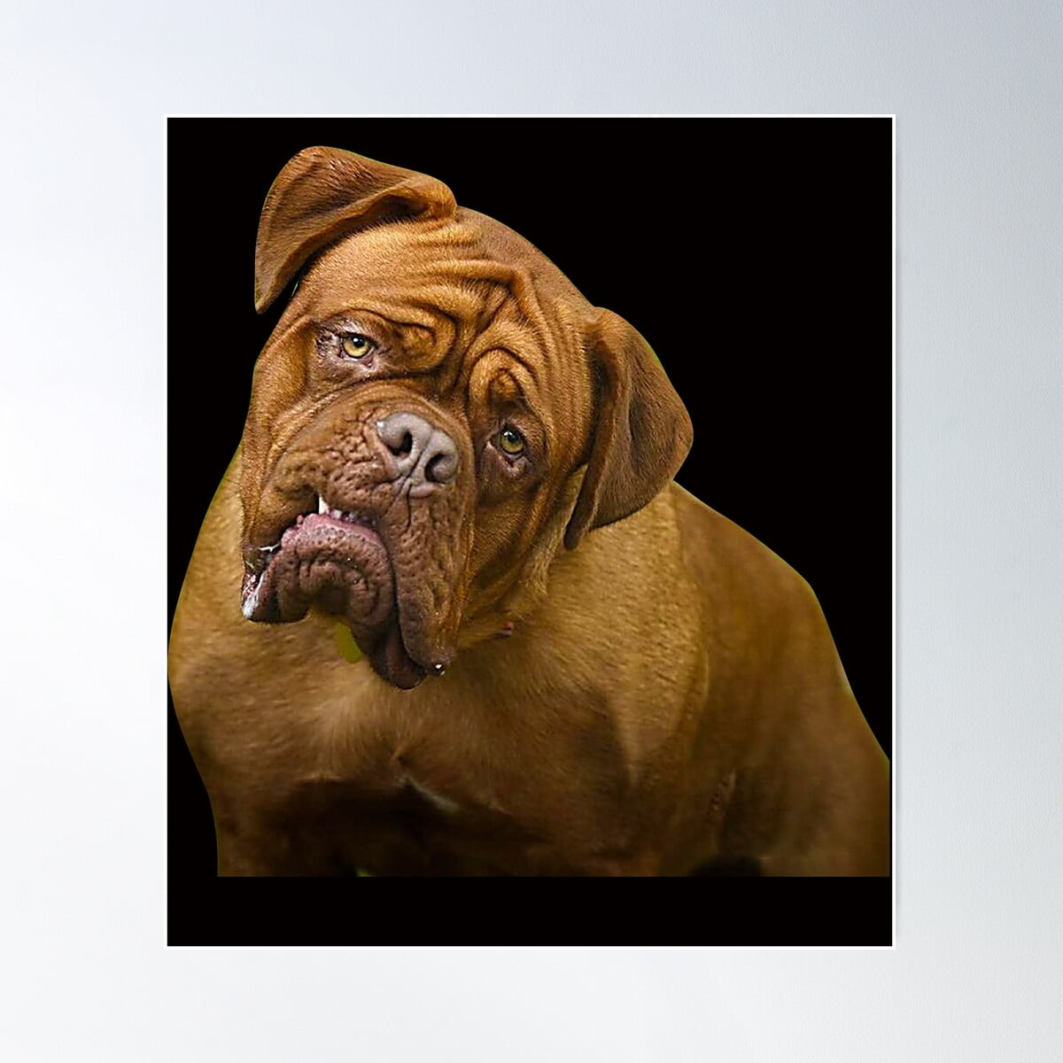 Turner And Hooch Poster Wall Art, Modern Wall Decor For Living Room ...