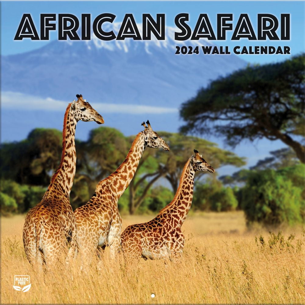Turner Licensing, African Safari 2024 Wall Calendar - Walmart.com