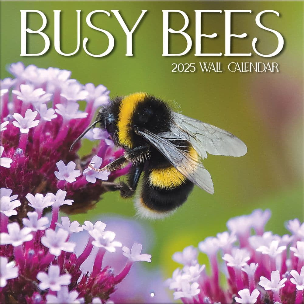 Turner Licensing Busy Bees 2025 Wall Calendar Walmart