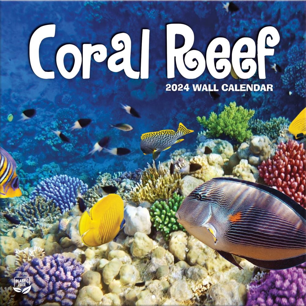 Turner Licensing, Coral Reef 2024 Wall Calendar - Walmart.com