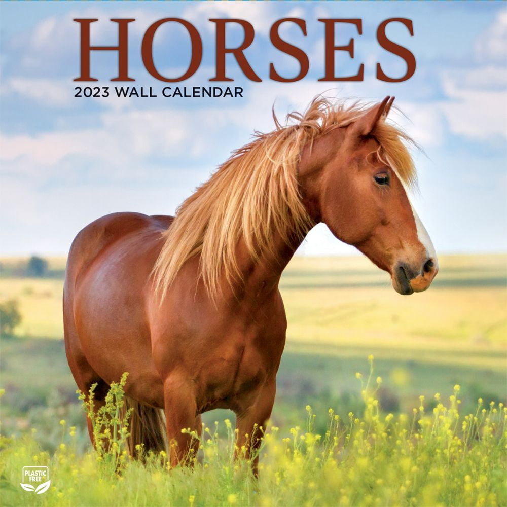 Turner Licensing, Horses 2023 Wall Calendar - Walmart.com