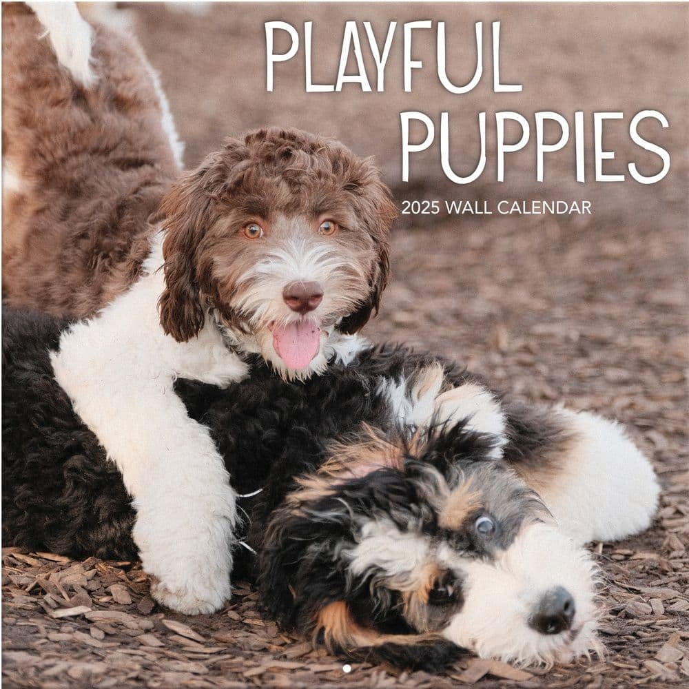 Turner Licensing, Playful Puppies 2025 Wall Calendar - Walmart.com