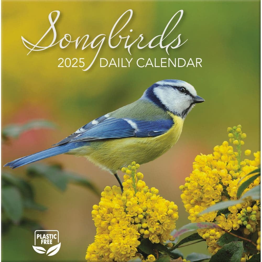 Turner Licensing, Songbirds 2025 Desk Calendar - Walmart.com