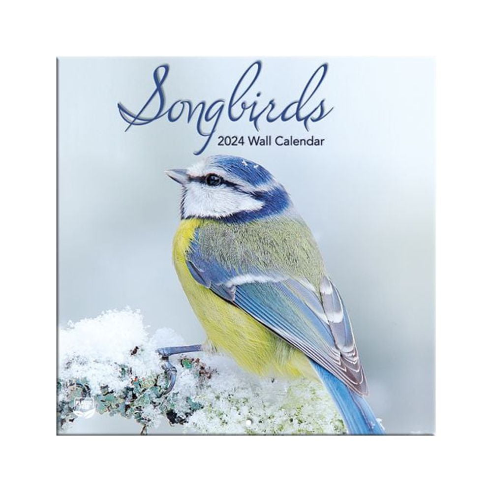 Turner Licensing, Songbirds Photo 2024 Mini Wall Calendar - Walmart.com