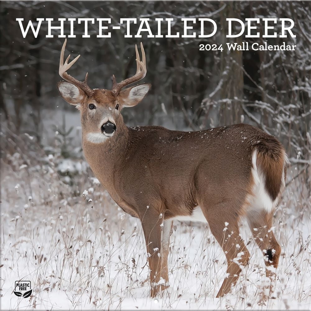 Turner Licensing 2024 Wall Calendar, White-Tailed Deer Imagery, Premium ...