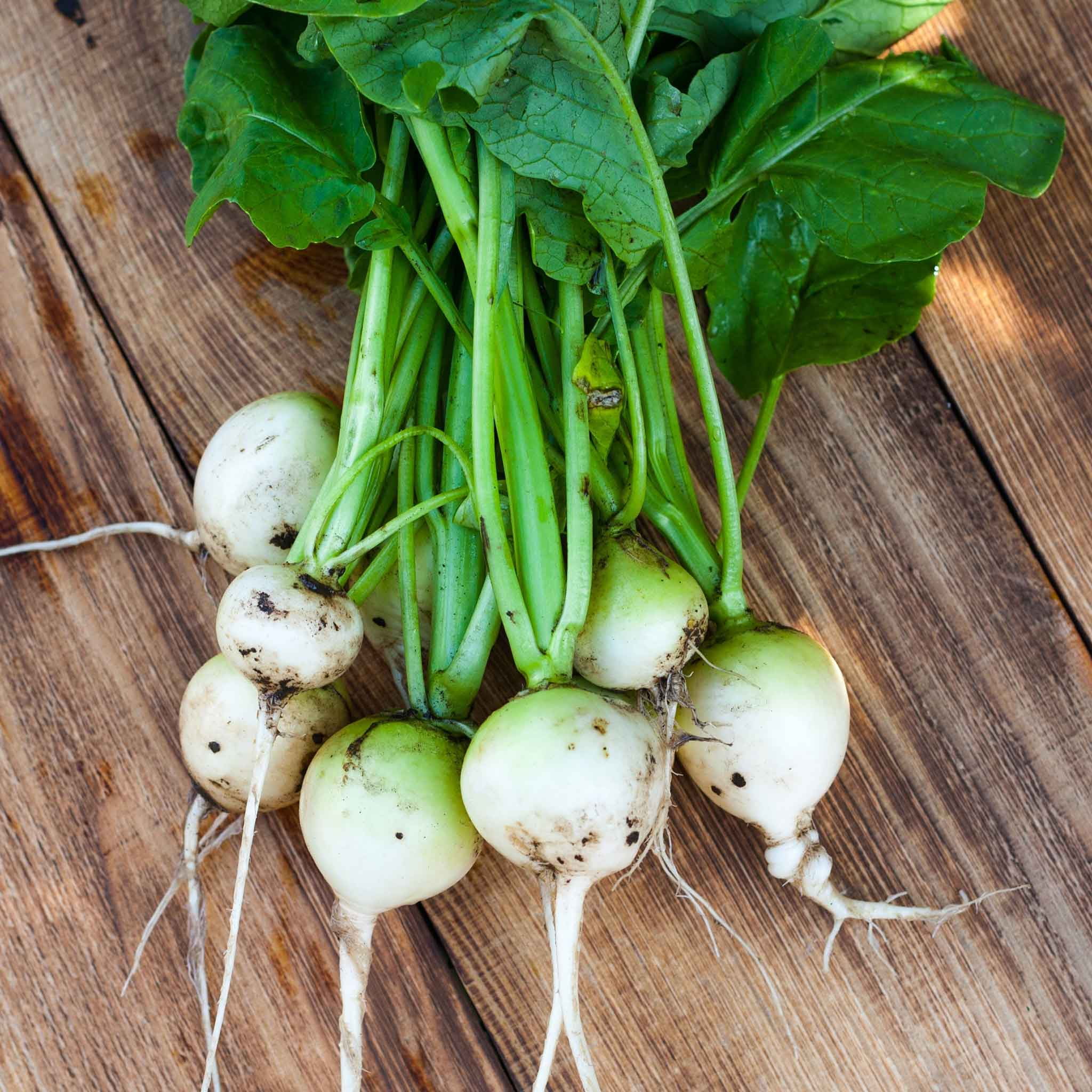 Eden Brothers Turnip Seeds - White Egg - Walmart.com