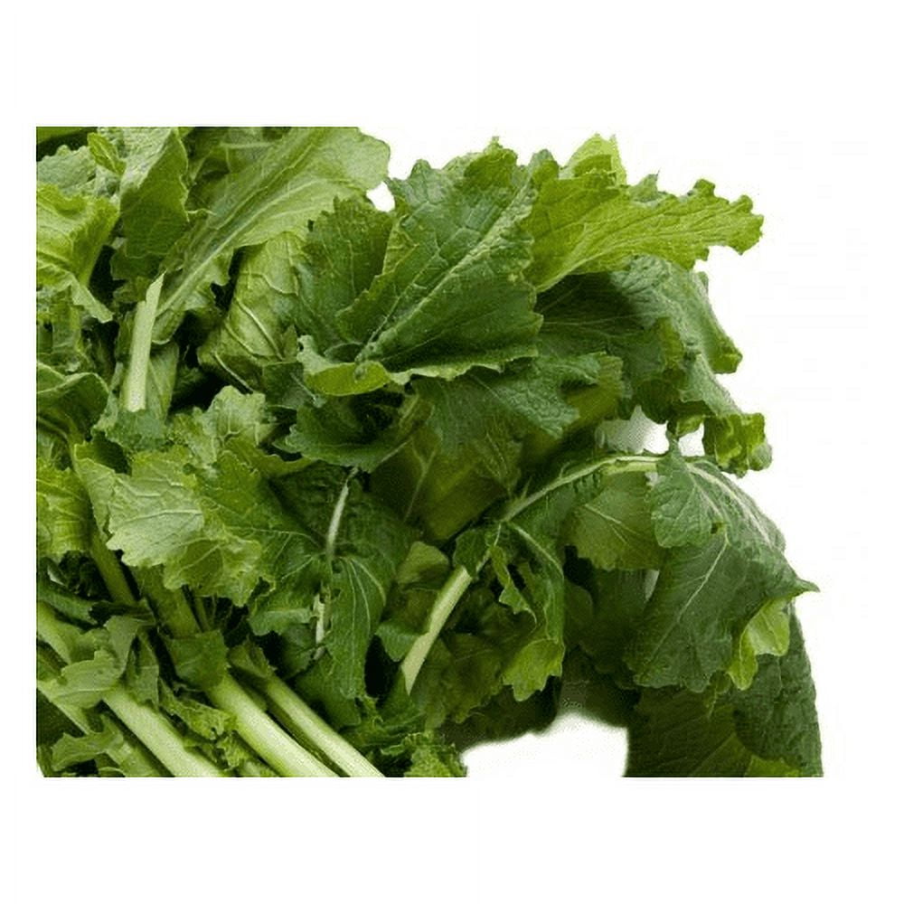 Turnip Seven Top Deer Food Plot Great Heirloom Vegetable by Seed ...