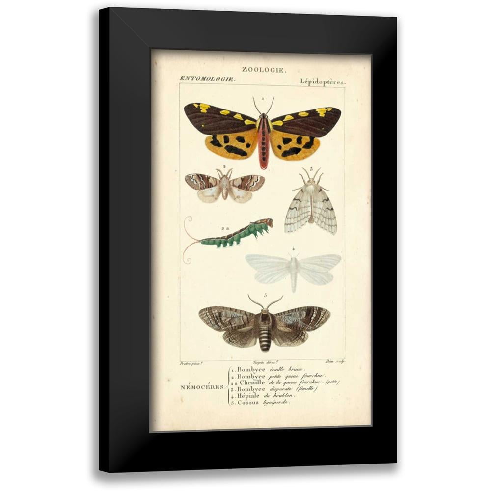 Turpin 10x14 Black Modern Framed Museum Art Print Titled - Antique ...