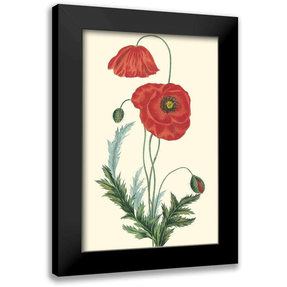 Turpin 10x14 Black Modern Framed Museum Art Print Titled - Crimson ...