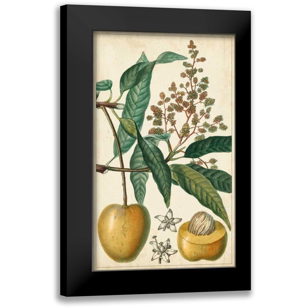 Turpin 10x14 Black Modern Framed Museum Art Print Titled - Exotic ...