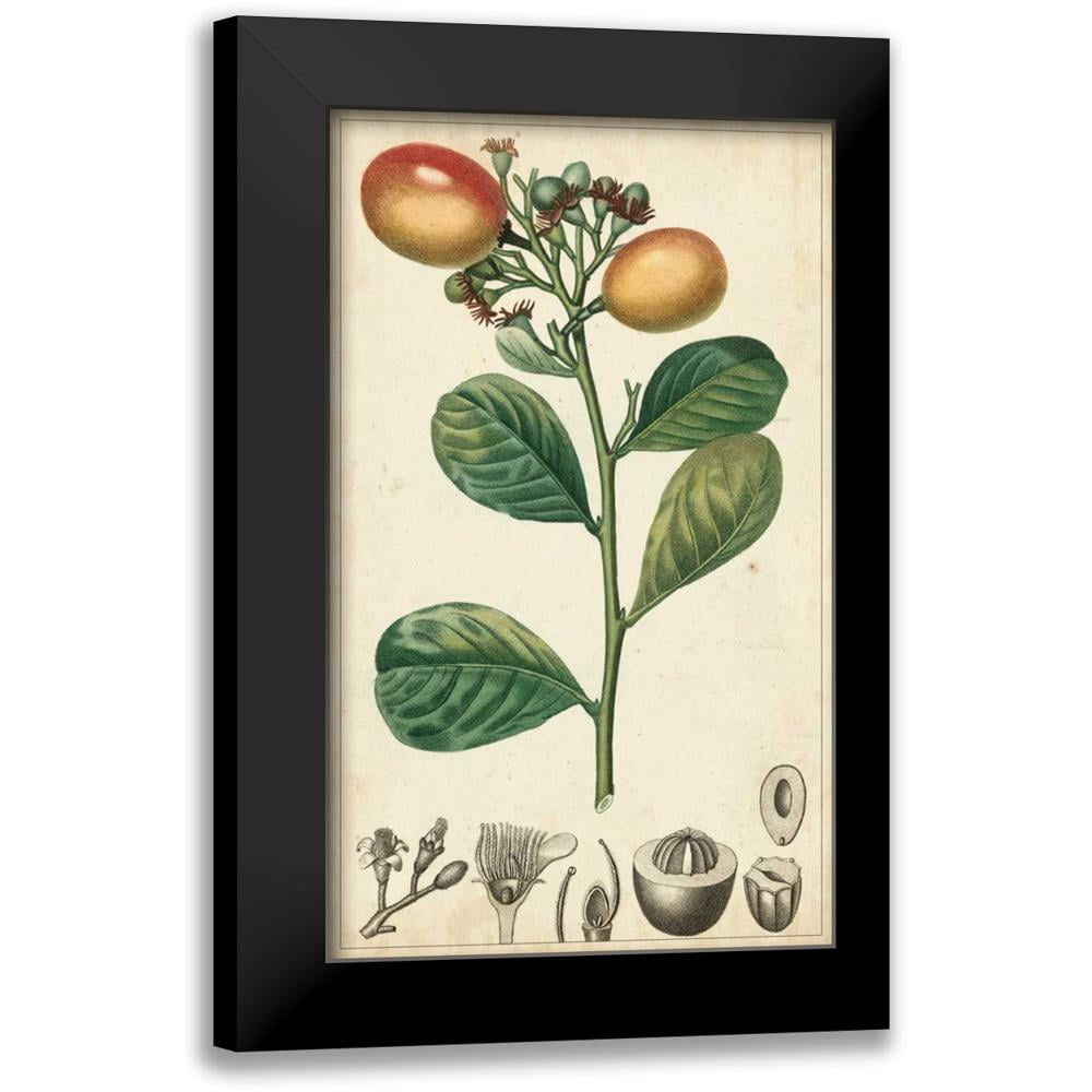Turpin 10x14 Black Modern Framed Museum Art Print Titled - Exotic ...
