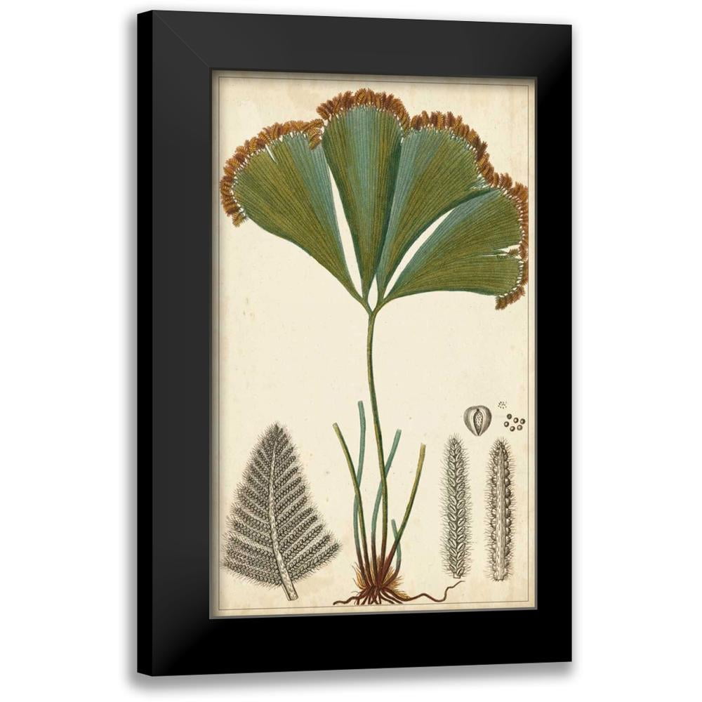 Turpin 10x14 Black Modern Framed Museum Art Print Titled - Foliage ...