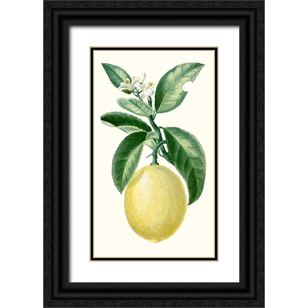 Turpin 10x14 Black Ornate Wood Framed with Double Matting Museum Art ...