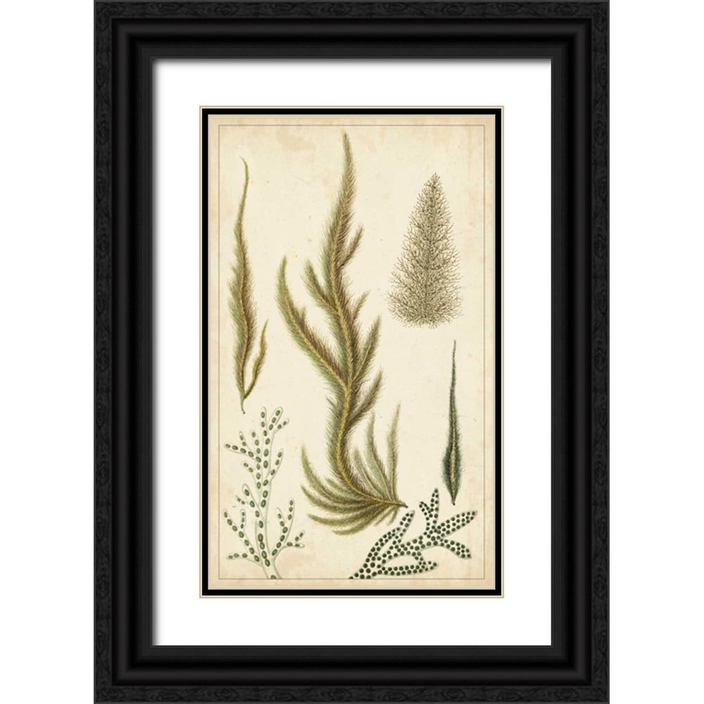 Turpin 10x14 Black Ornate Wood Framed with Double Matting Museum Art ...