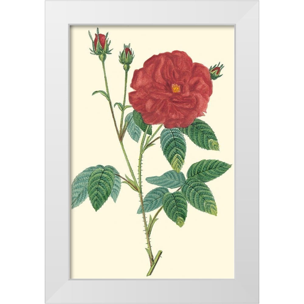 Turpin 10x14 White Modern Wood Framed Museum Art Print Titled - Crimson ...