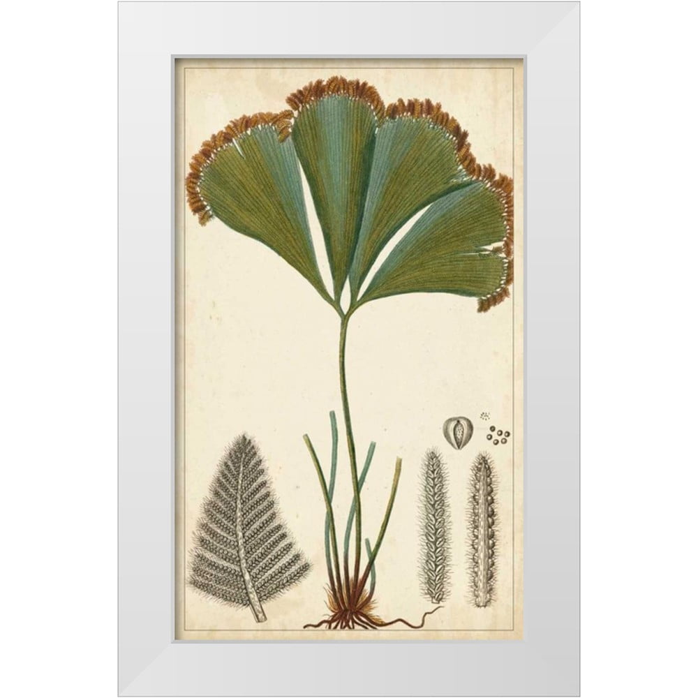 Turpin 10x14 White Modern Wood Framed Museum Art Print Titled - Foliage ...