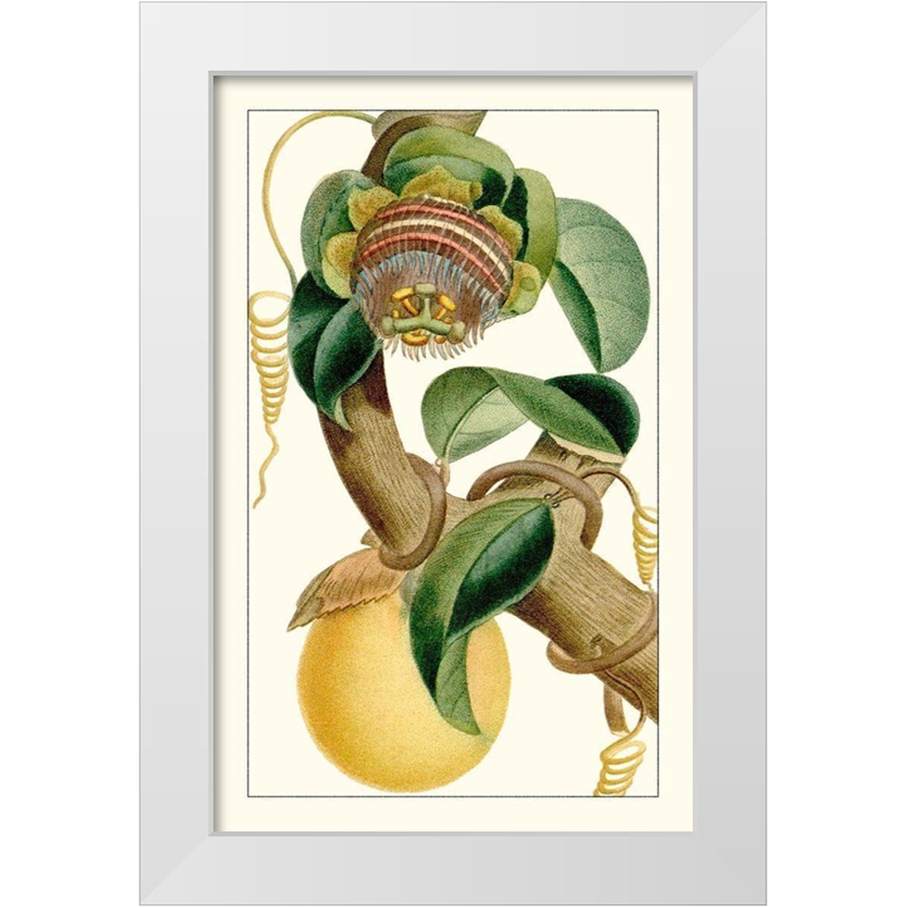 Turpin 10x14 White Modern Wood Framed Museum Art Print Titled - Turpin ...