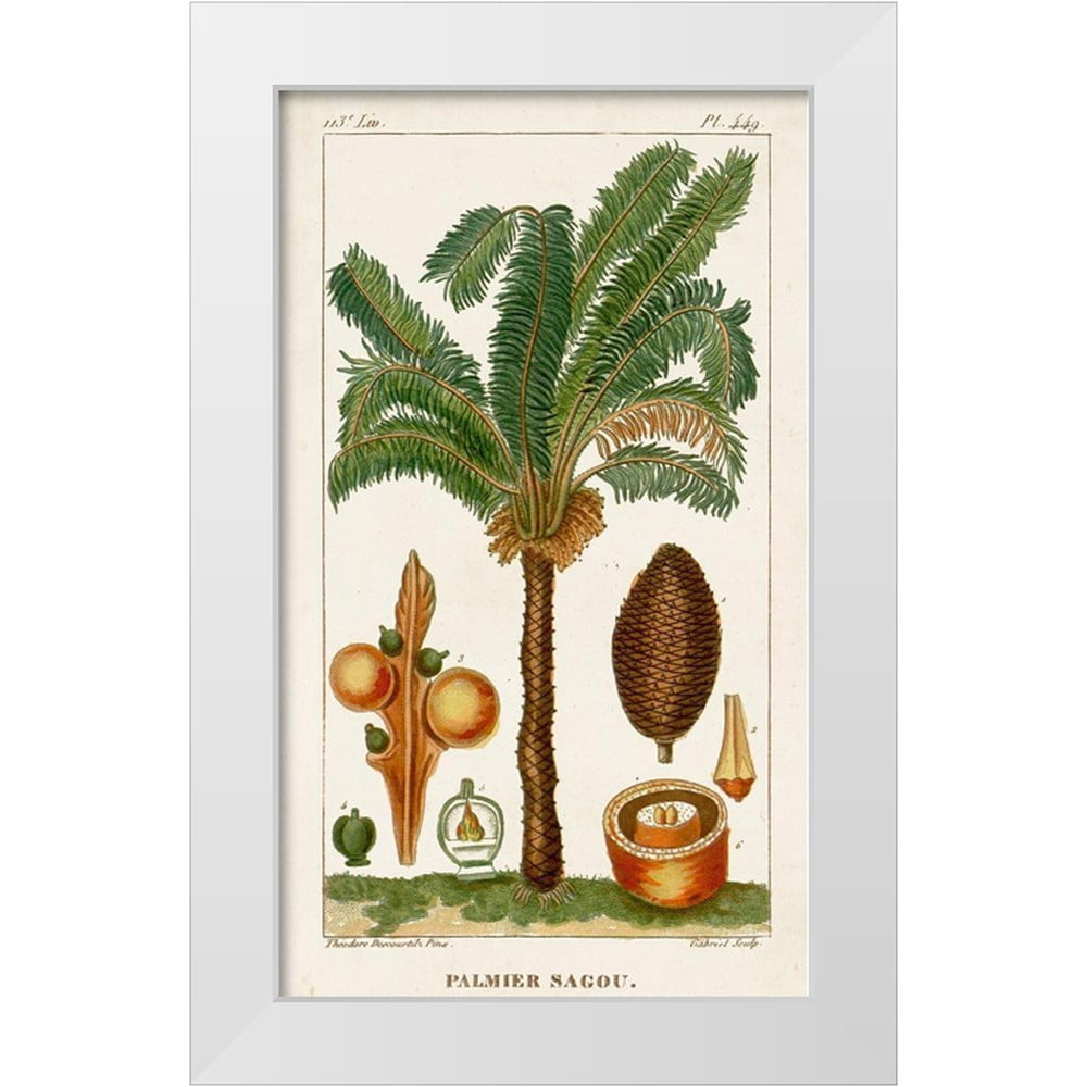 Turpin 10x14 White Modern Wood Framed Museum Art Print Titled - Turpin ...