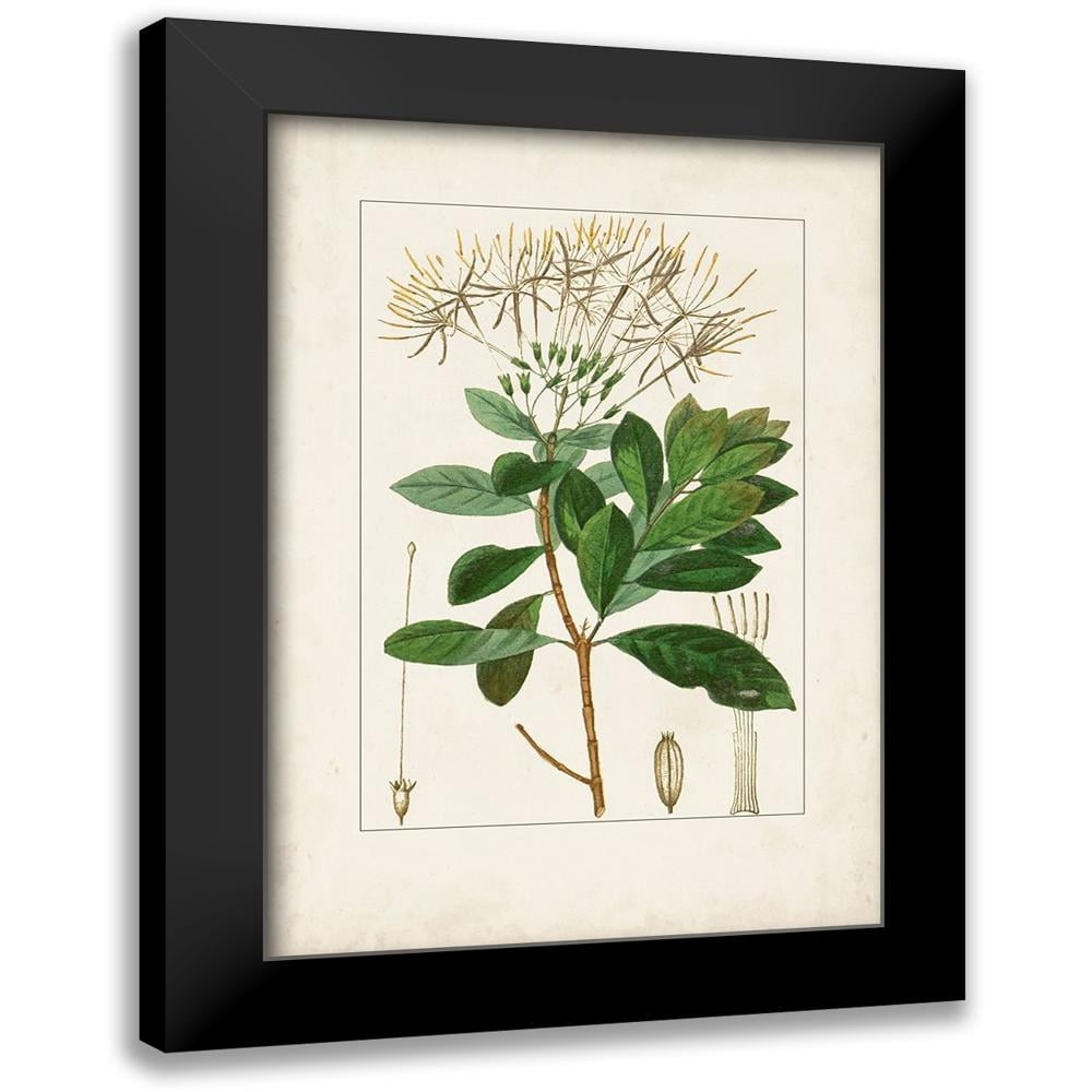 Turpin 11x14 Black Modern Framed Museum Art Print Titled - Antique ...