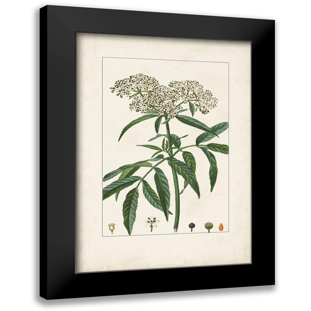 Turpin 11x14 Black Modern Framed Museum Art Print Titled - Antique ...