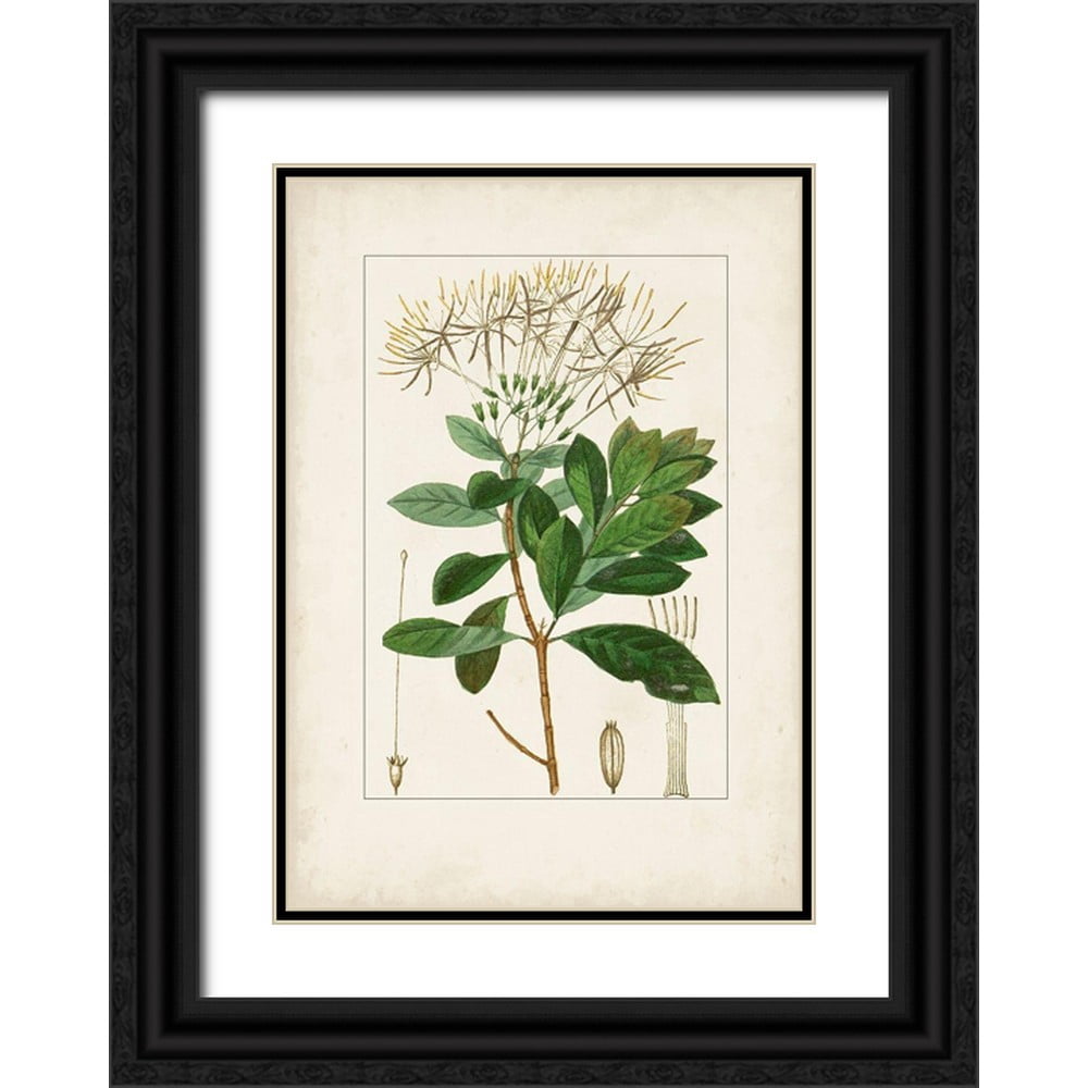 Turpin 11x14 Black Ornate Wood Framed with Double Matting Museum Art ...