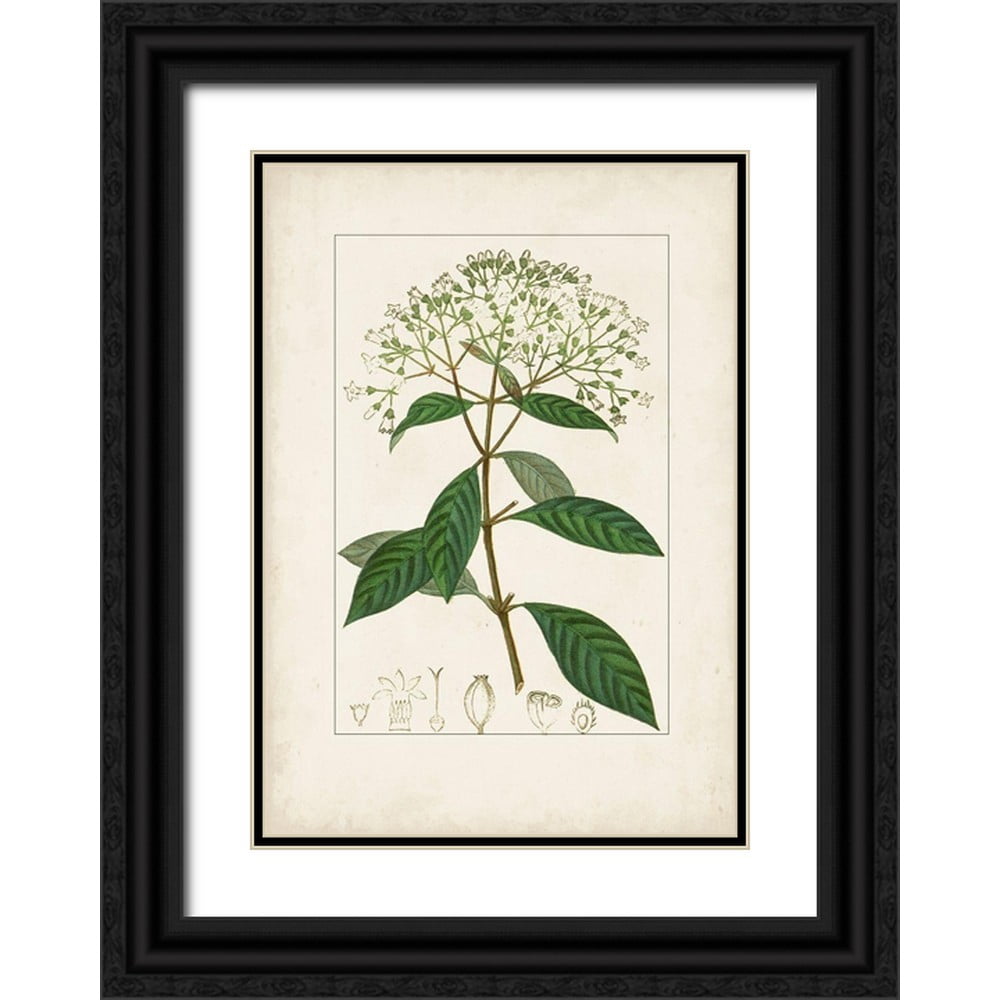 Turpin 11x14 Black Ornate Wood Framed with Double Matting Museum Art ...