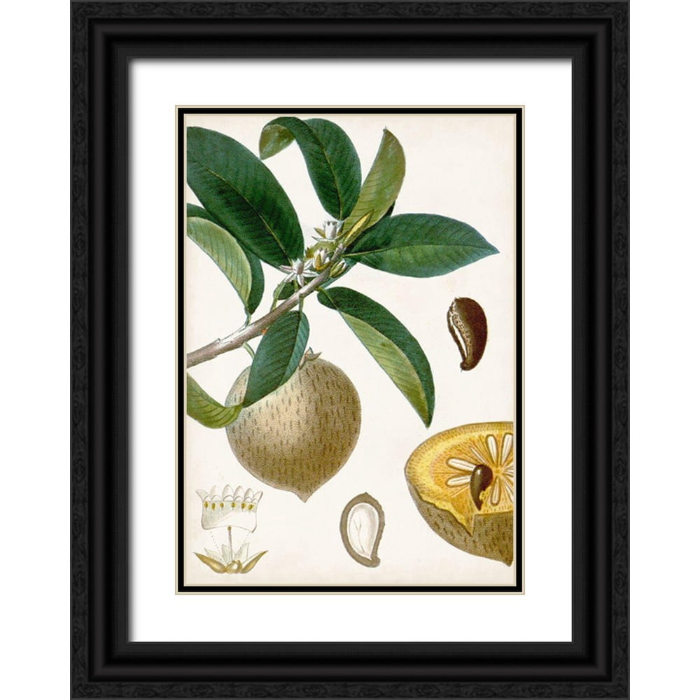 Turpin 11x14 Black Ornate Wood Framed with Double Matting Museum Art ...
