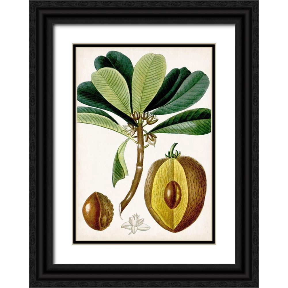 Turpin 11x14 Black Ornate Wood Framed with Double Matting Museum Art ...